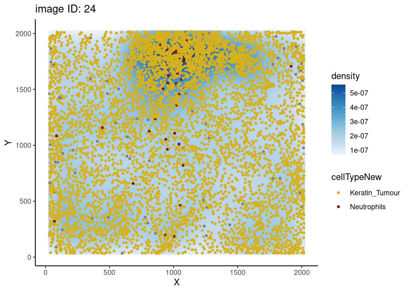 4 Cell localisation – spicyPlayBook